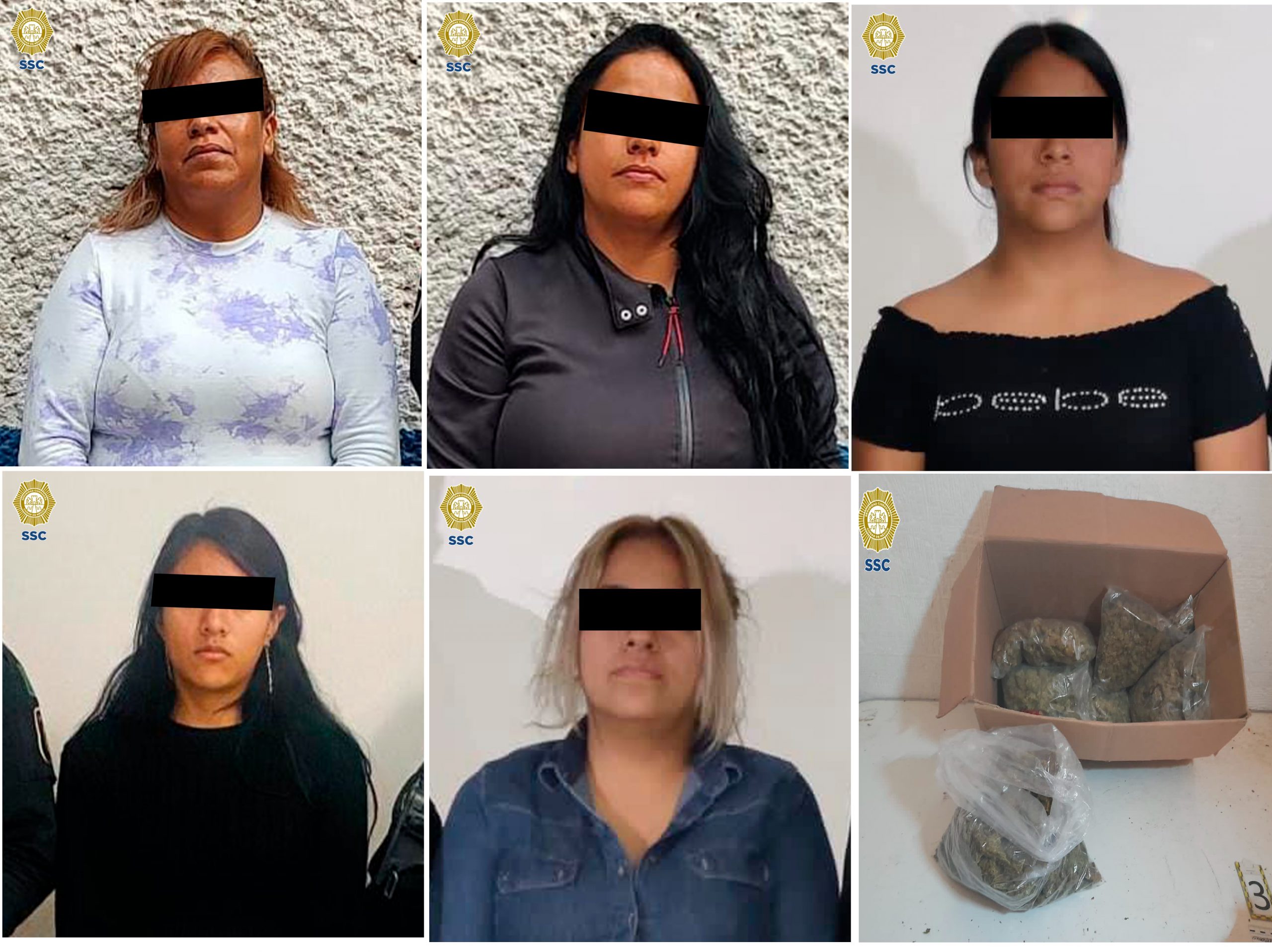 Caen 5 Mujeres Por Presunto Trasiego De Droga En Cdmx Y Edomex